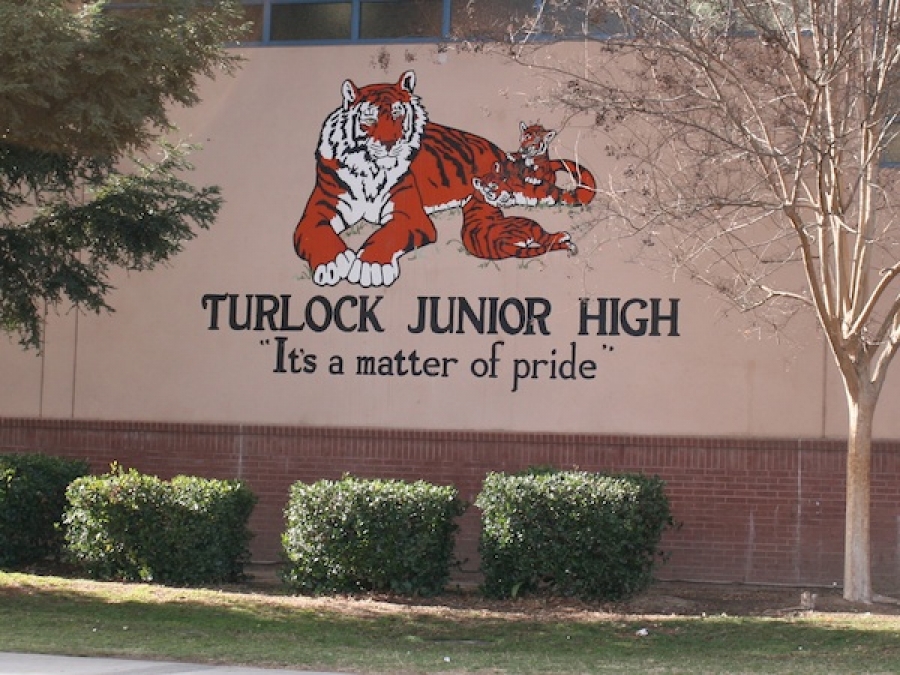 TurlockCityNews.com
