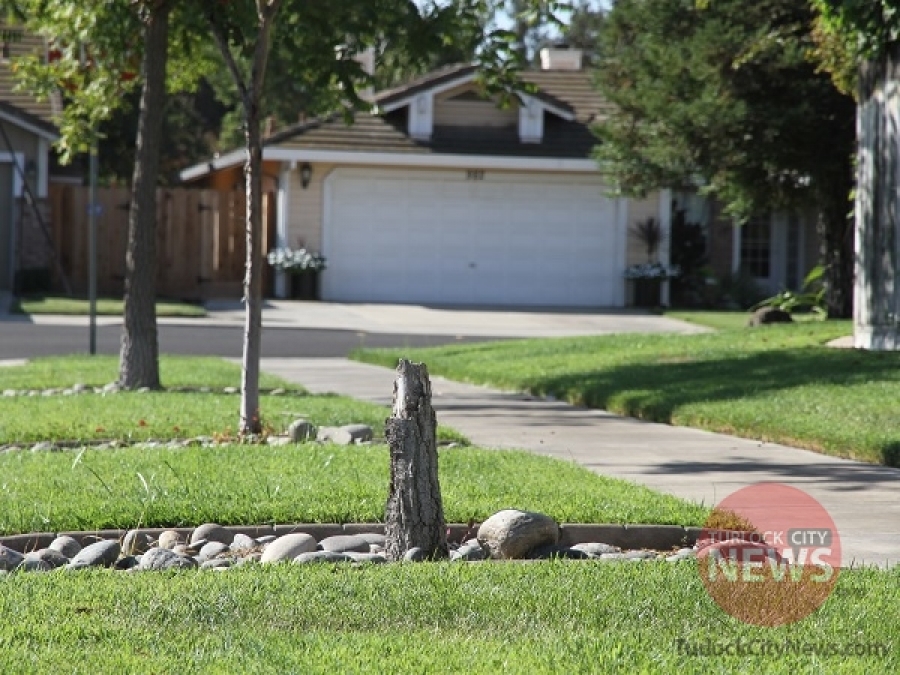 TurlockCityNews.com
