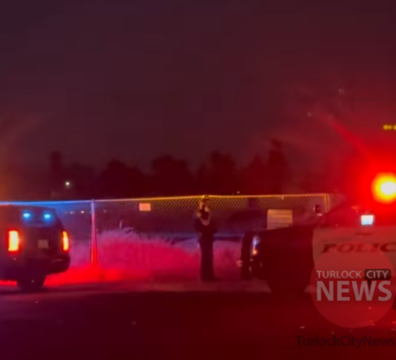 Home - TurlockCityNews.com