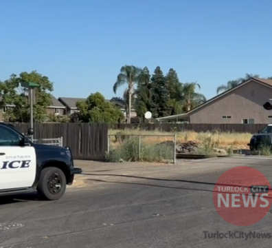 Home - TurlockCityNews.com